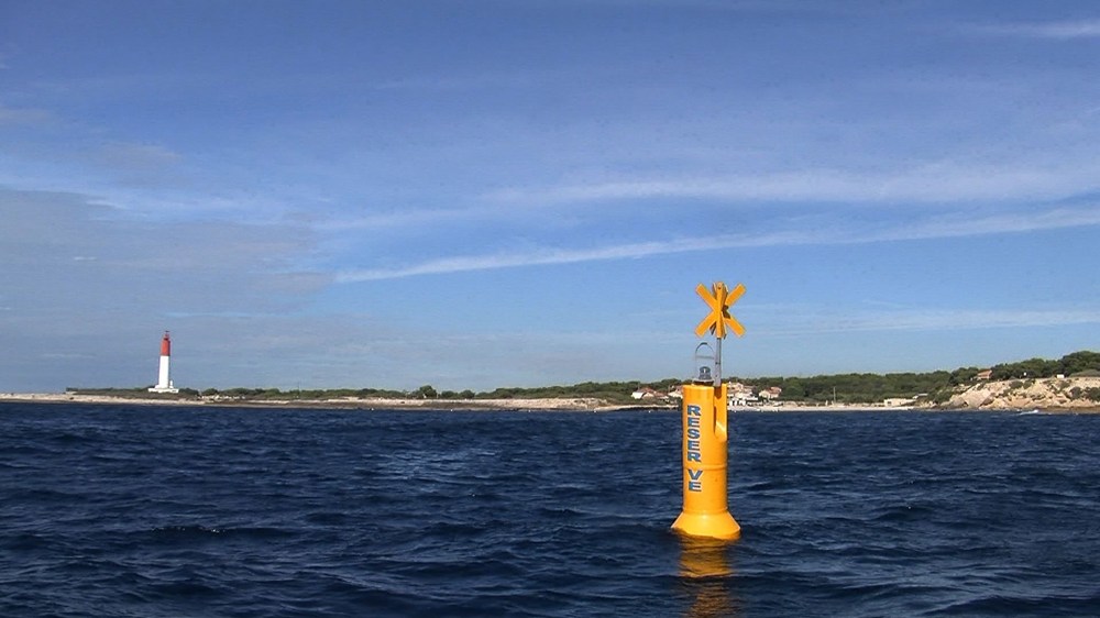 parc-marin-cote-bleu - La Bastide des Joncas